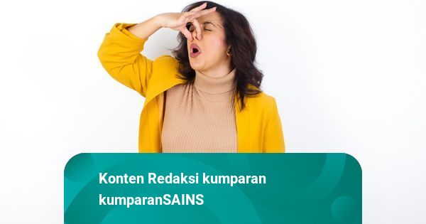 Kentut Cewek Lebih Bau Dari Cowok Ini Buktinya